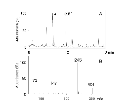 Metabolism of 4-Hydroxy Trans 2- Nonenal (HNE) in Cultured PC-12 Cells ...