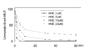 Metabolism of 4-Hydroxy Trans 2- Nonenal (HNE) in Cultured PC-12 Cells ...