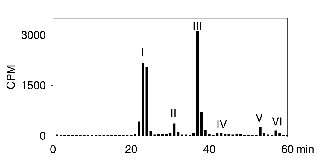 Metabolism of 4-Hydroxy Trans 2- Nonenal (HNE) in Cultured PC-12 Cells ...