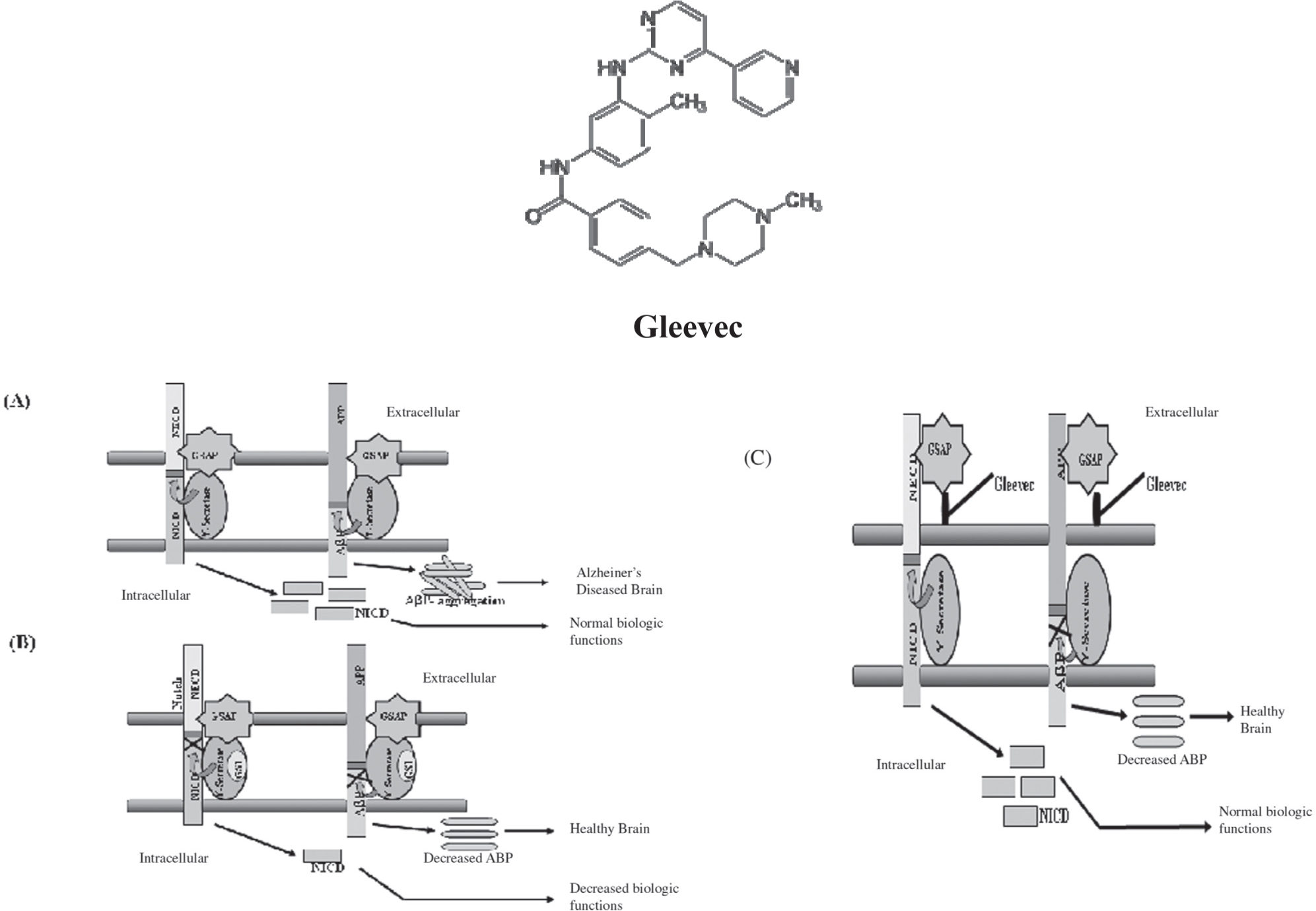 gamma-secretase activating protein is a therapeutic target for ...